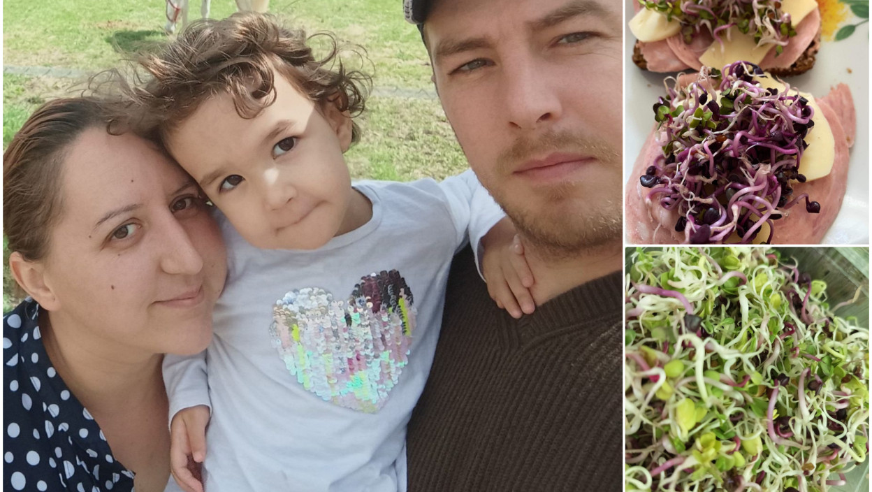 FARMA MOŽE DA SE RAZVIJE I NA SAMO 300 KVADRATA Mikrobilje i klice najzdraviji na tanjiru MLADI ...